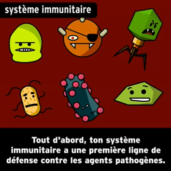 Expliquer et comprendre le Coronavirus | enseignants